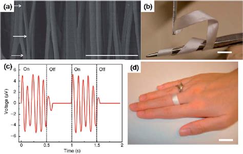 A Sem Micrographs Of Fibres Highlighting Points Of Merging Joints