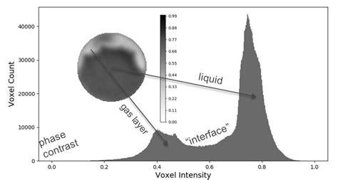 Histogram Of Voxel Intensity In The Experimental Dataset Download