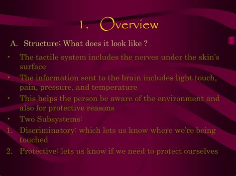 ppt the tactile system powerpoint presentation free download id