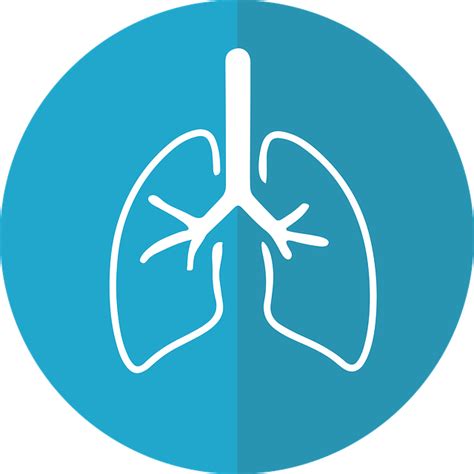 소세포 폐암 Sclc 과 비소세포 폐암 Nsclc 의 비교 생물학적 및 조직학적 차이 임상 증상 및 진단 방식 치료 전략 및 예후