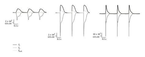 Optimised Csan And Psan Models Using A Csan Psan 2d Tissue Axisymmetric Download Scientific