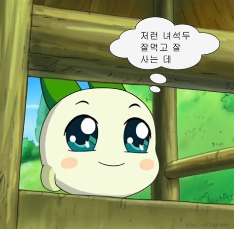 맑은 눈의 광기 양파쿵야 레전드 짤 모음zip 맑눈광 주먹밥쿵야 네이버 블로그