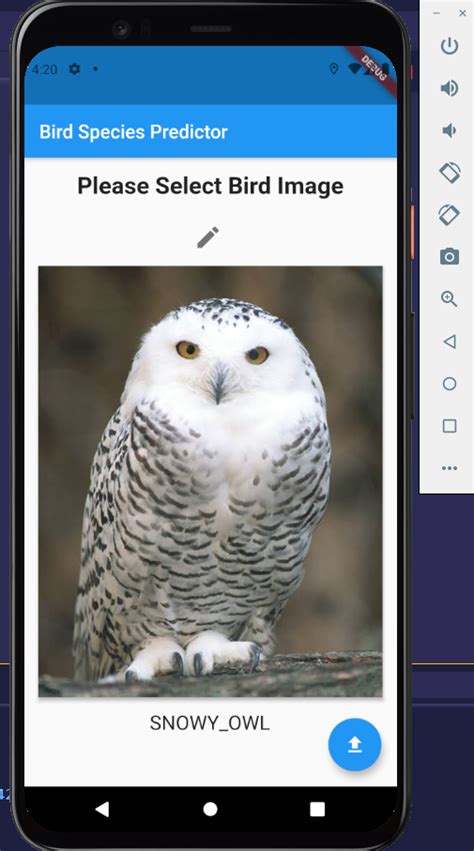 GitHub YoncaYeprem Bird Species Recognition With CNN And Flutter