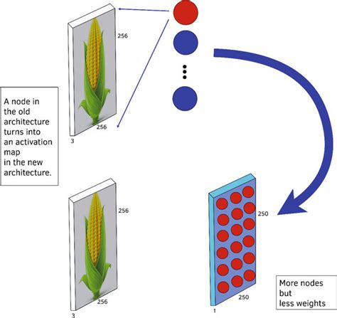 17 Relation Between Cnns And Deep Feedforward Networks Download Scientific Diagram