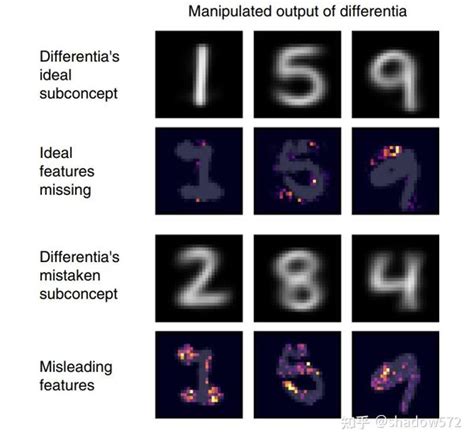 Explainable Neural Networks That Simulate Reasoning
