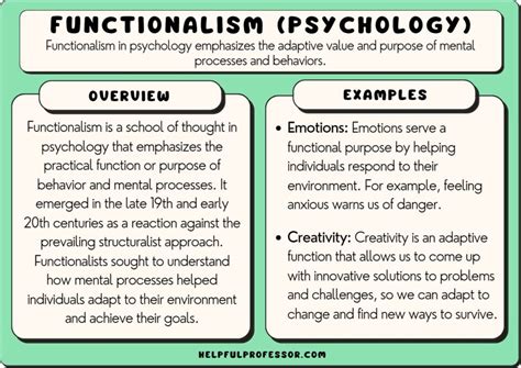 Functionalism In Psychology Definition Examples Criticism 2025