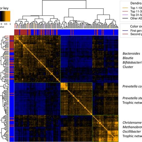 Example Heatmap Depicting Different Clusters And Or Trophic Networks