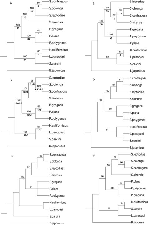 Molecular And Morphological Evidence For A Monophyletic Clade Of