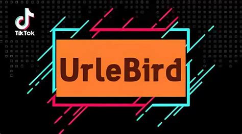 Urlebird A Comprehensive Guide To Viewing Tiktok Anonymously