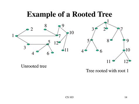 Trees A Quick Introduction To Graphs Definition Of Trees Rooted Trees