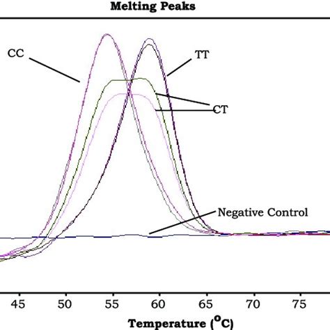 Derivative Melting Curve Dfdt Showing The Ryr1 Single Base Download Scientific Diagram