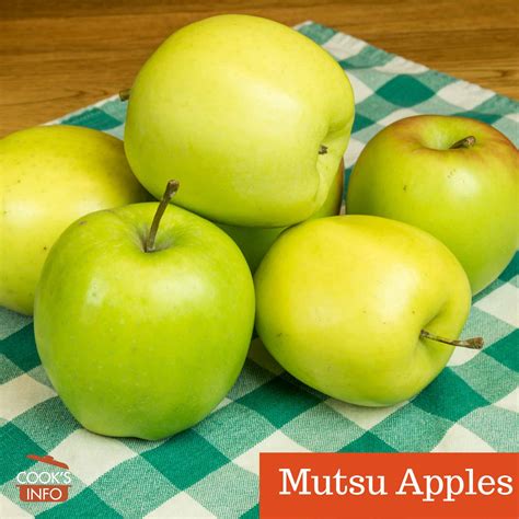 Mutsu Apple Cooksinfo
