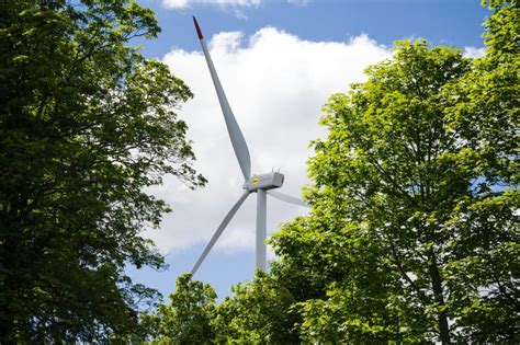 Belgian Eco Energy Bee On Linkedin Energytransition Cppa