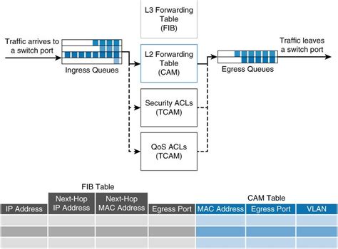 Breeze Singh Mca On Linkedin Layer 3 Multilayer Switch Operation 🌐 Multilayer Switches Not Only…