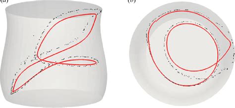Particle Accumulation Structures Observed For The Case ξ 0987 And St