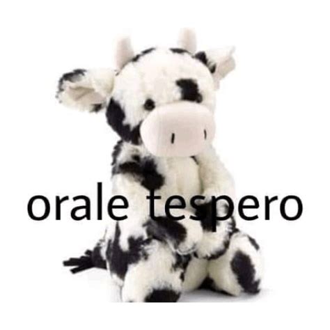 🦇•chisyosos•🦇