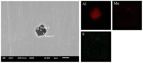 Inclusion Characteristics In Steel With Ceo2 Nanoparticle Addition
