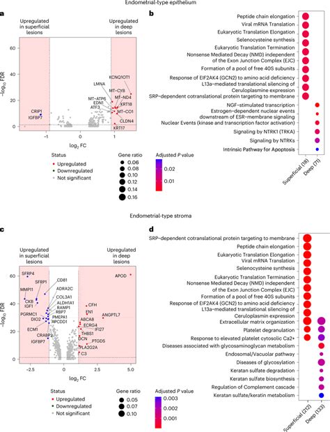 Molecular Signatures Of Deep And Superficial Peritoneal Download
