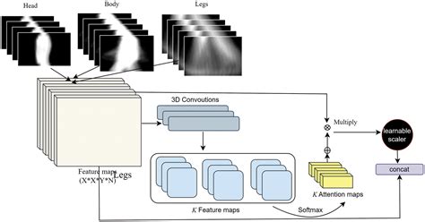 Csse Free Full Text A Triplet Branch Convolutional Neural Network