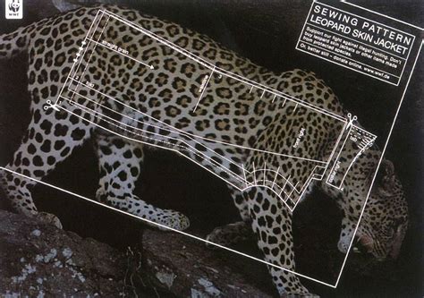 Print Ad Analysis Inspirationz