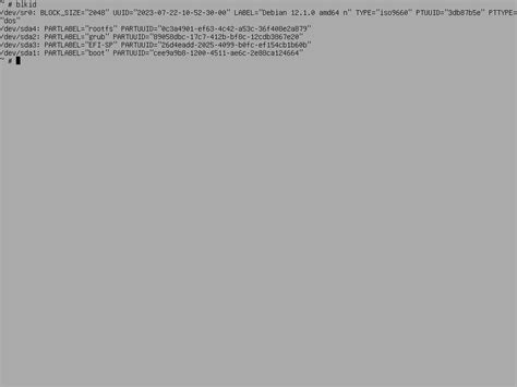 Securing Your Data Installing Debian Linux With Disk Encryption ⋆ Zacks