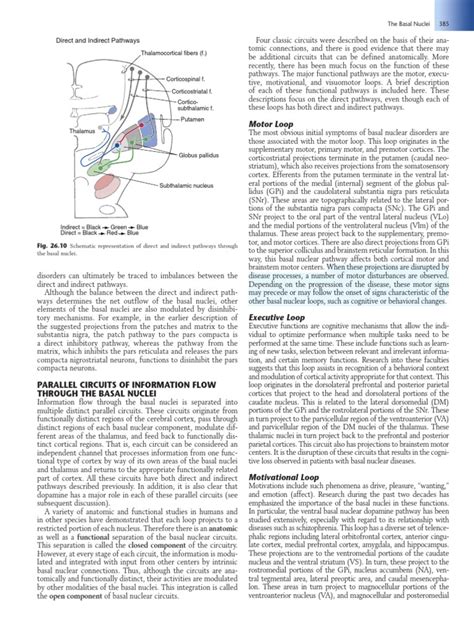 Fundamental Neuroscience For Basic And Clinical Applications 2018 5th Ed Duane E Haines 8 Pdf