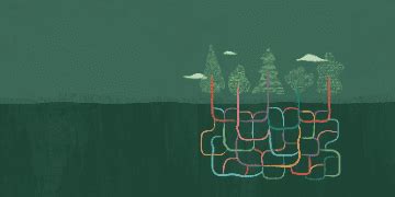 Oracle Database編 Exadata Database Service On Dedicated Infrastructure