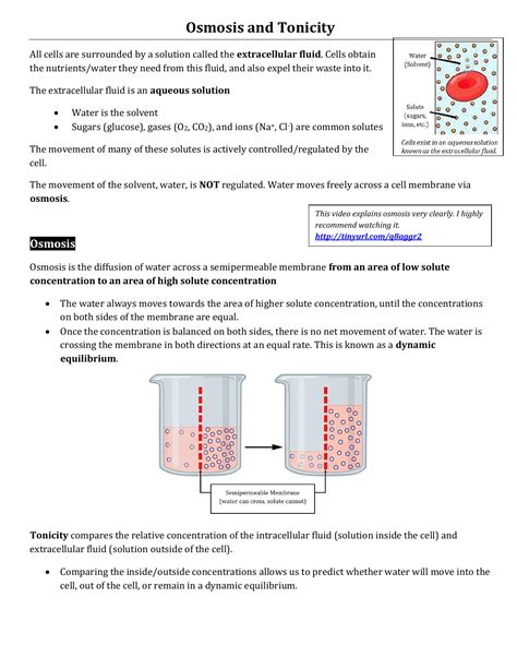 Worksheet Osmosis And Tonicity Writing Practice Worksheet