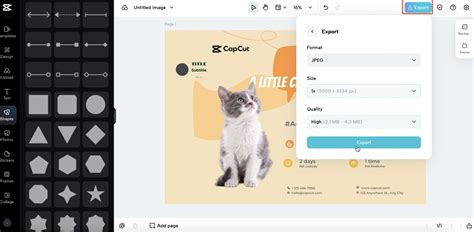say goodbye to chaos with dropbox photos management