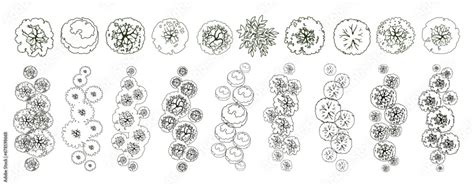 Trees For Architectural Floor Plans Entourage Design Various Trees Bushes And Shrubs Top