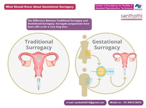 What Is The Difference Between A Homologous And Heterologous Insemination Procedure Artofit