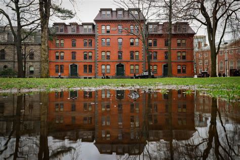 Standing Up Against Aapi Hate Crimes Tarina Ahuja Co Founder And