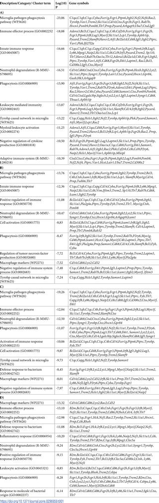 Sex And Region Specific Cortical And Hippocampal Whole Genome