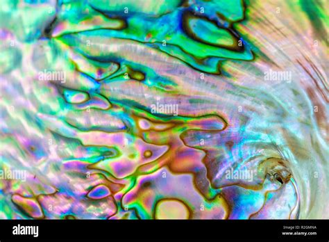 Abalone Shell Texture