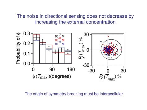 Cellular Individuality In Directional Sensing Ppt Download