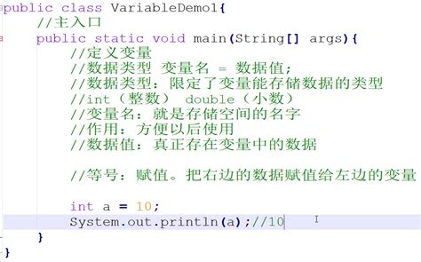 19 变量