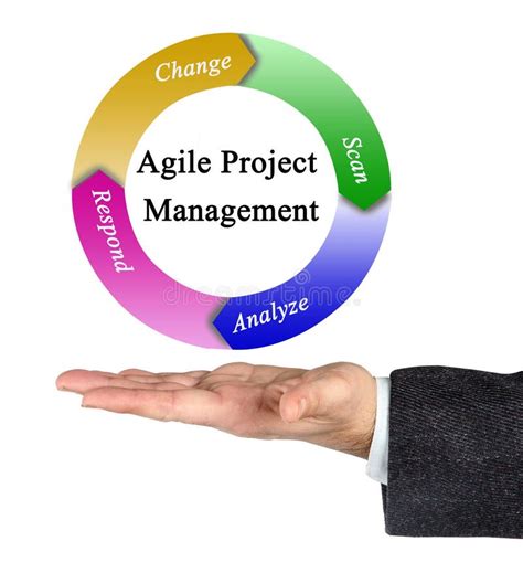 Agile Project Management Stock Photo Image Of Manager 135490194