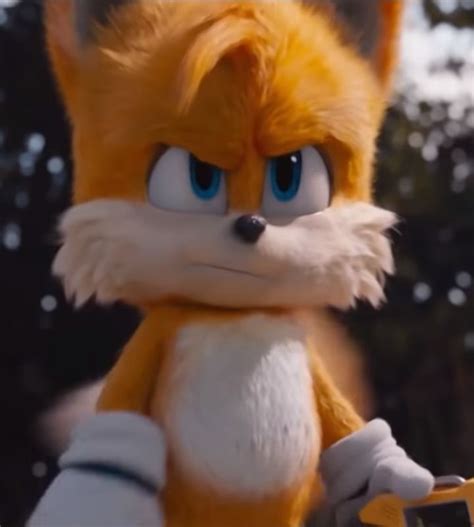 Sonic Movie Tails Hedgehog Movie Sonic Art Sonic