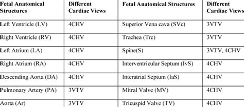 Fetal Structures With Distinct Cardiac Views Download Scientific Diagram