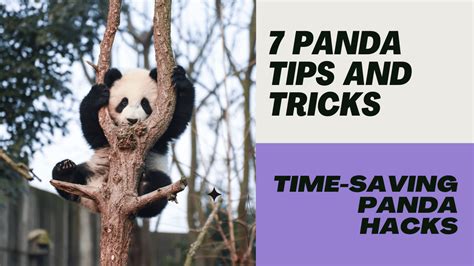7 pandas tricks that will save you time kdnuggets