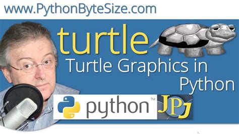 Understanding Turtle Graphics In Python A Guide To Cartesian Coordinates Galaxy Ai