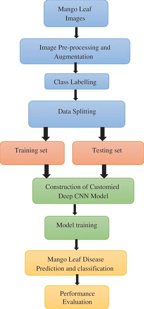 Cmc Free Full Text Deep Convolutional Neural Networks For South Indian Mango Leaf Disease