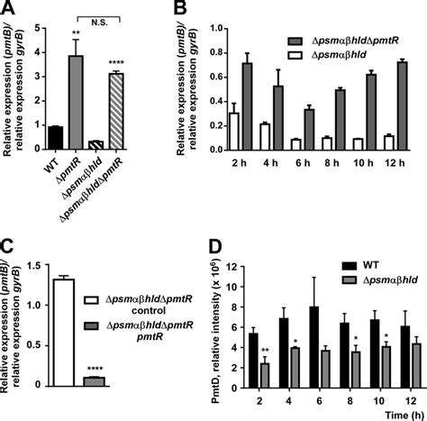Pmtr Controls Pmt Expression A Comparison Of Pmt Expression In