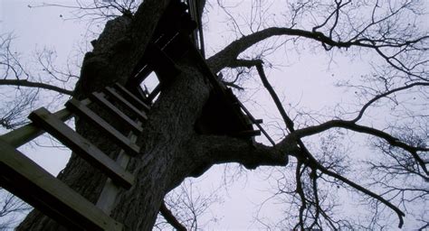 The Tree Of Life 047