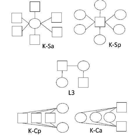 Generic Configurations Included Used In Exponential Random Graph Model