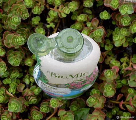 Экологичное средство для мытья посуды, овощей и фруктов BioMio Bio-Care ...