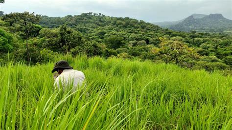 Christian Iradukunda Karangwa On Linkedin Interested Field