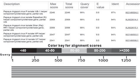 graphical summary and significant alignments of blast homology search