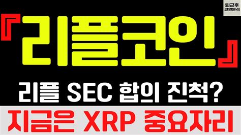 리플 코인전망 리플 홀더분들 지치셨죠 하지만 정말 큰거 옵니다 리플코인 리플코인전망 리플코인호재 리플소송결과 리플급등 Youtube