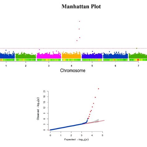 Manhattan Plots Of −log10 P Vs Chromosomal Position Of Significant